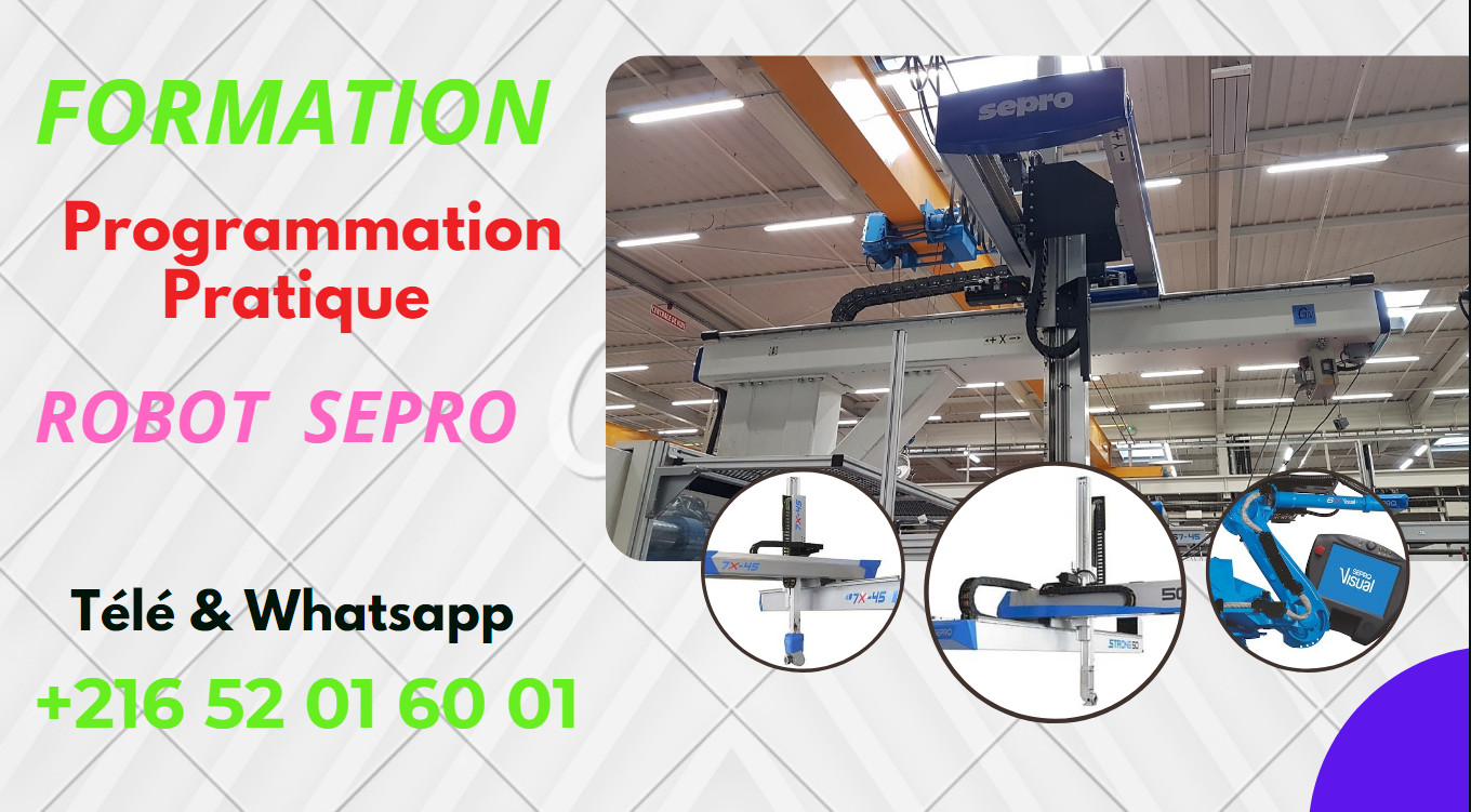 Programmer robot Sepro